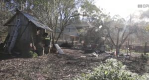 Living Off Grid For 30 years: A Story Of Happiness Through Isolation ...